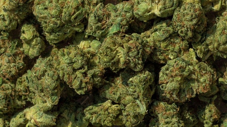 Collab #13 Strain Review