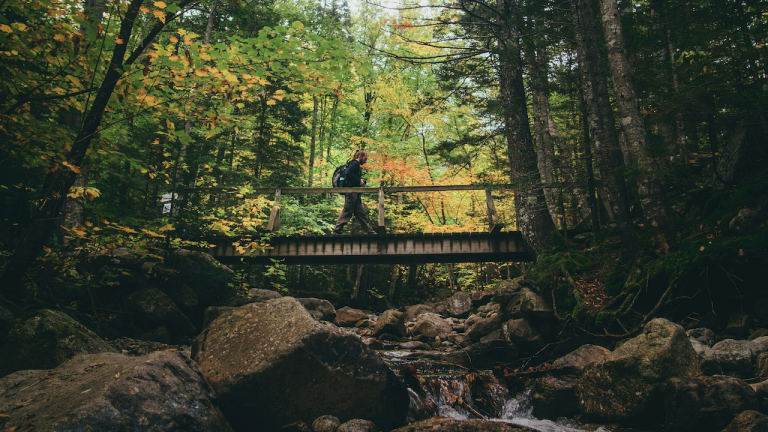 The 11 Best Things To Do In Hackettstown: Staff Picks